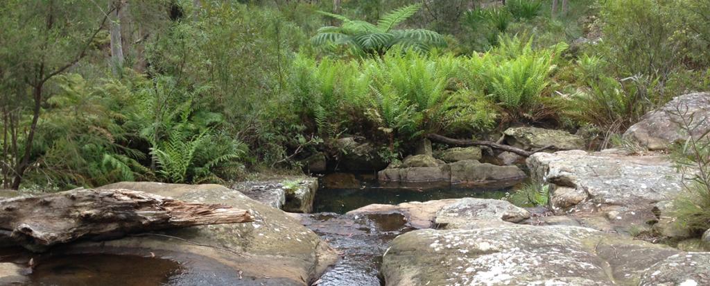 Environmental Monitoring | ANSTO